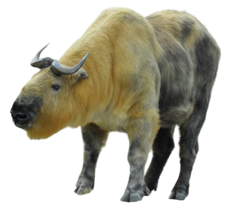 Rick | Dexters Laboratory The Movie 2025 Wiki | Fandom