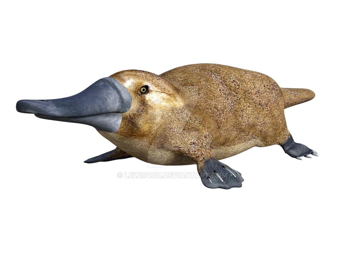 Duckbill | Dexters Laboratory The Movie 2025 Wiki | Fandom