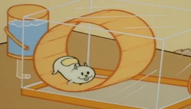 Dexter's Hamster | Dexter's Laboratory Wiki | Fandom