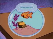 Filet of Soul/Gallery | Dexter's Laboratory Wiki | Fandom