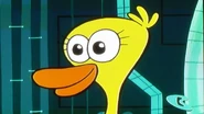 Quackor | Dexter's Laboratory Wiki | Fandom