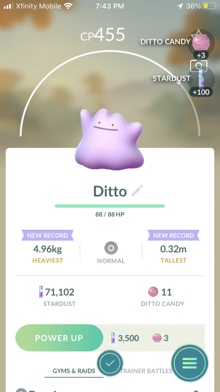 Ditto update | Fandom