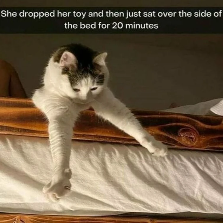 Goodnight boys | Fandom