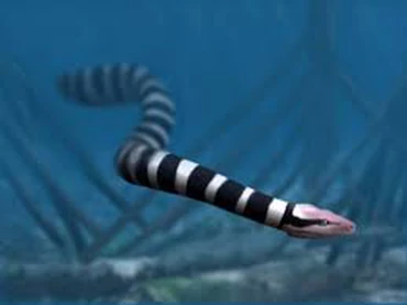 Discuss Everything About Dinopedia | Fandom