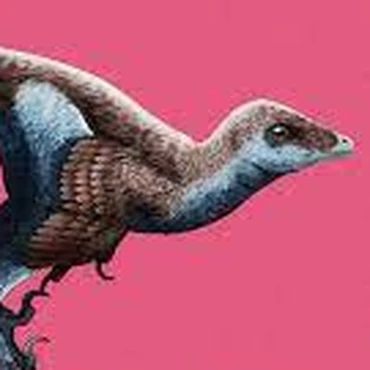 Discuss Everything About Dinopedia | Fandom