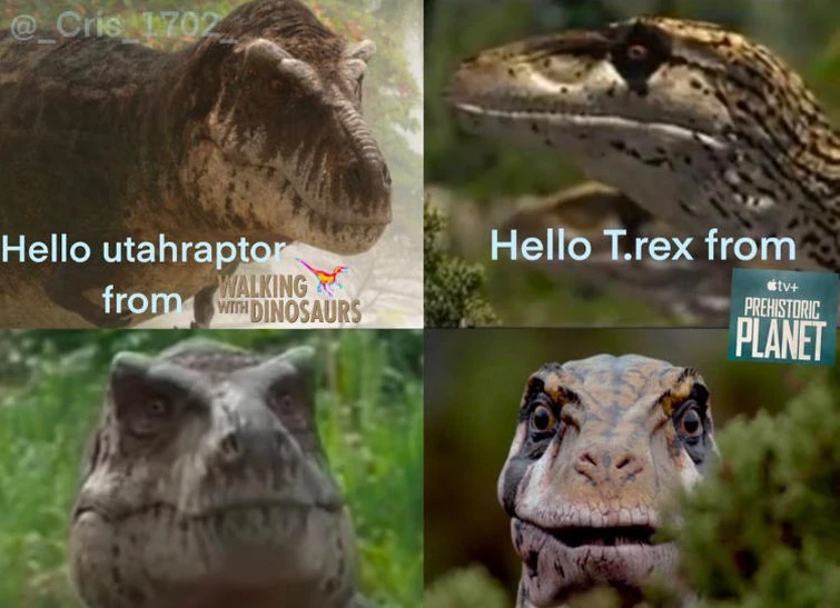 Daily Meme #6 | Fandom