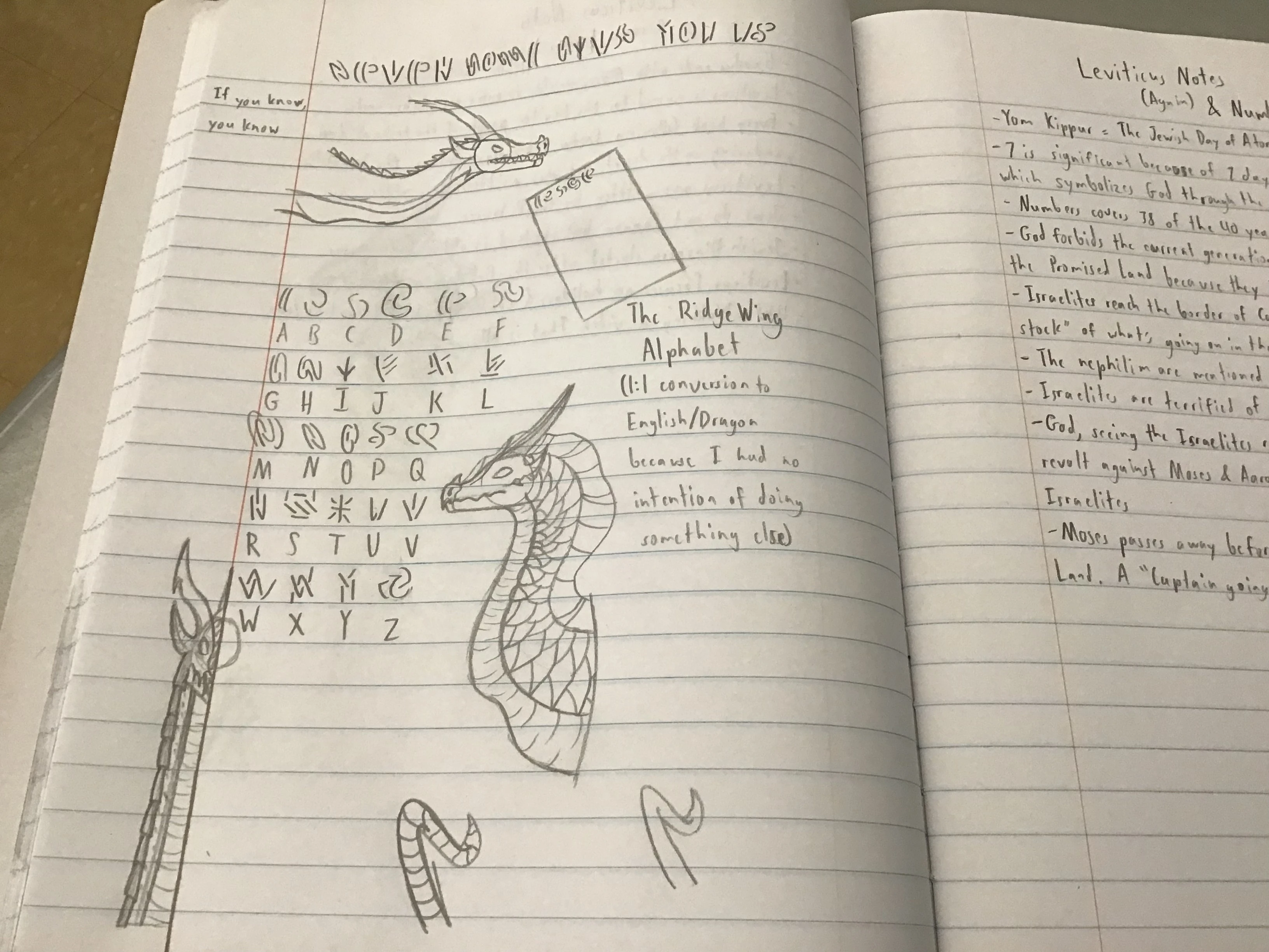 Try and Decipher This | Fandom