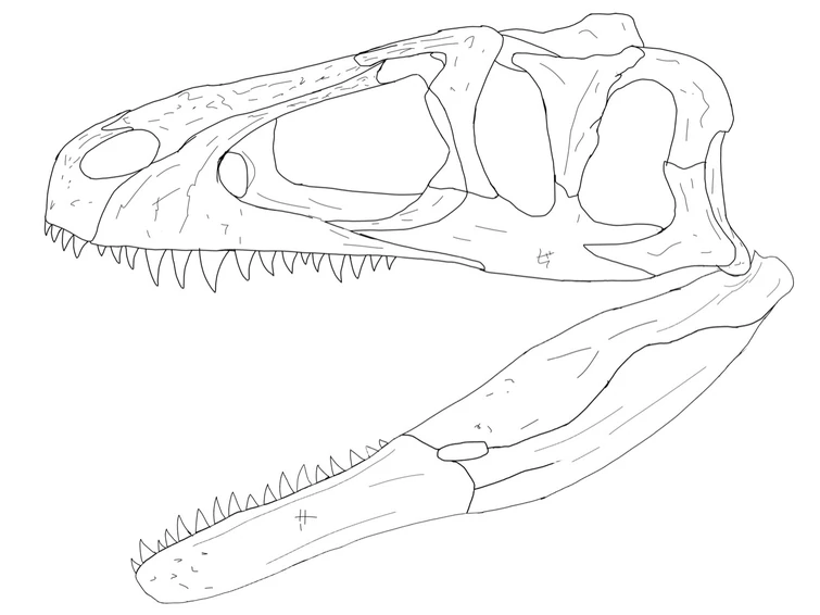 Bahariasaurus ingens | Fandom