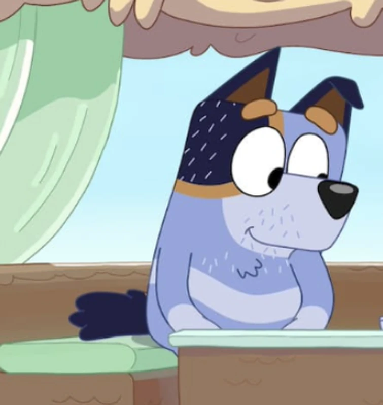 I randomly paused Bluey episodes and here's what images I came across ...