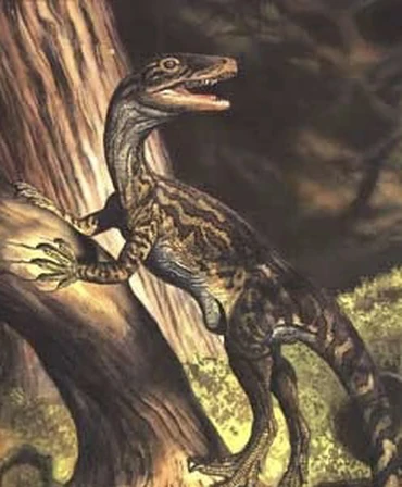 Discuss Everything About Dinopedia | Fandom