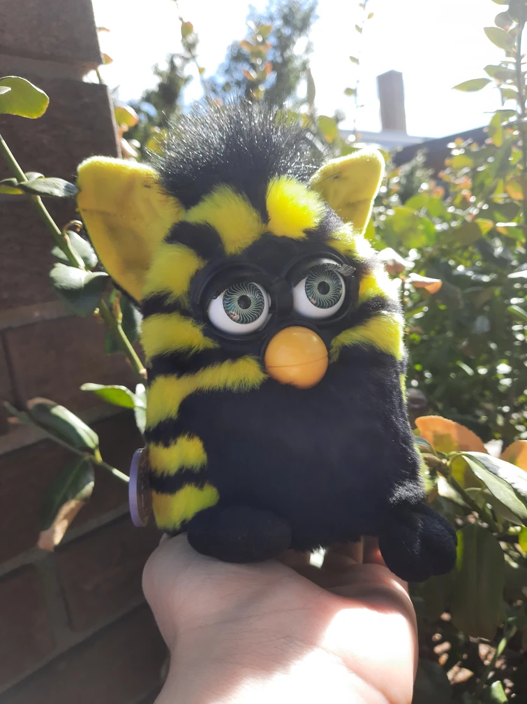 Discuss Everything About Official Furby Wiki | Fandom