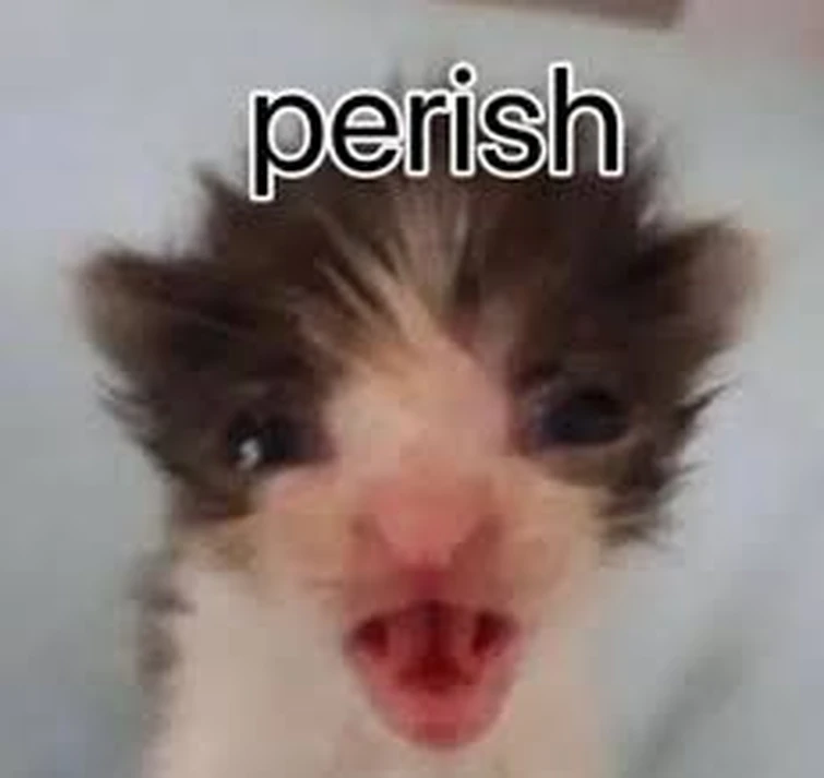 Zip brainrot 😍😍😍 emoji vid | Fandom