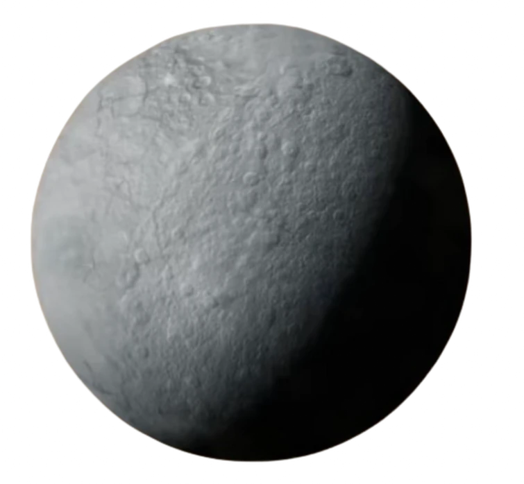 Solarballs in real life Season 2 Part 3! | Fandom