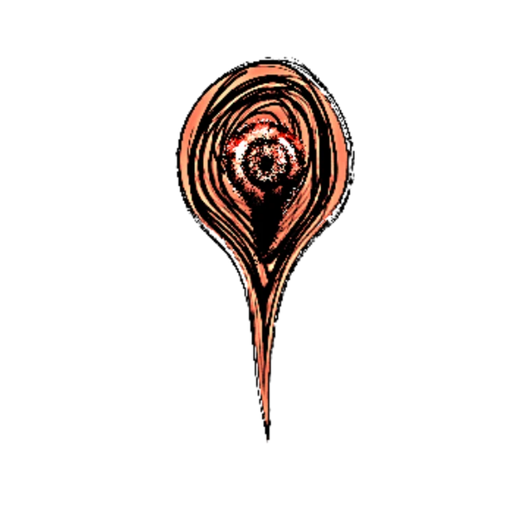 Conceptual Д Section Entities | Fandom