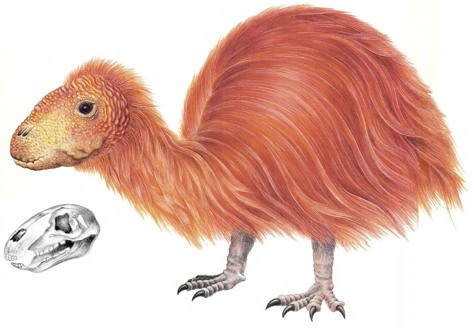 kloon, My Beloved | Fandom