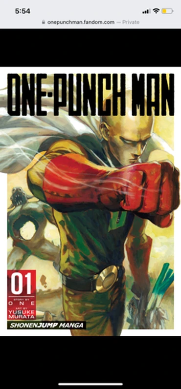 Best OPM Volume Cover (Round 1) | Fandom