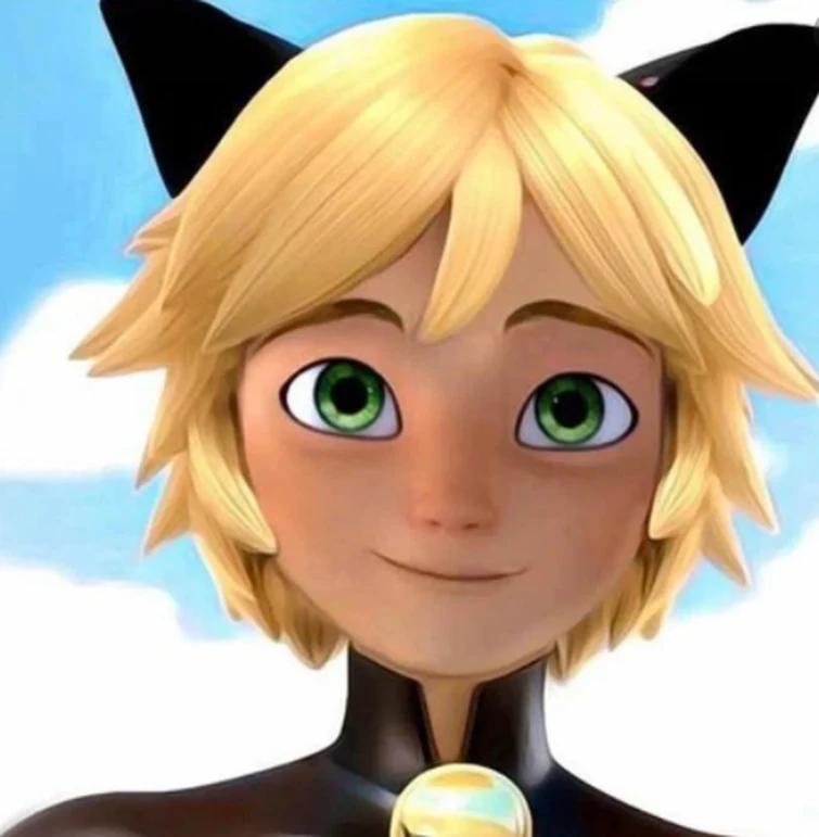 Doesnt Cat Noir look Weird without his mask? | Fandom