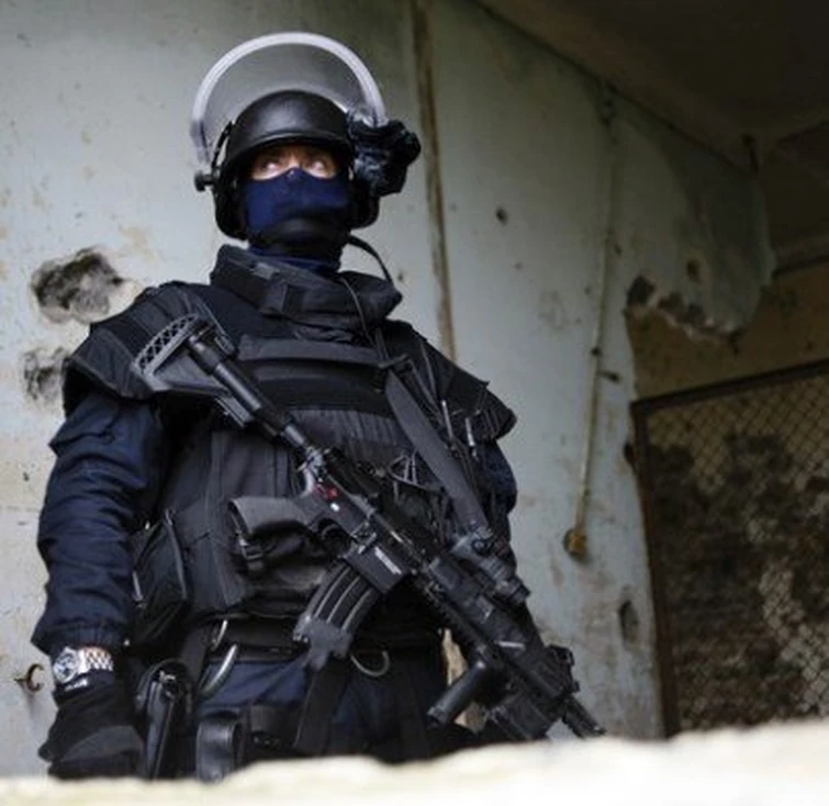 GIGN Operator | Fandom