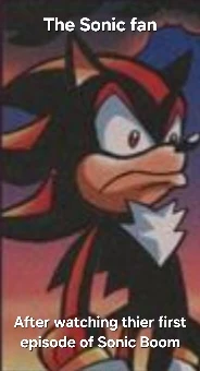 Just another Sonic meme (Archie meme Shadow edition!) | Fandom