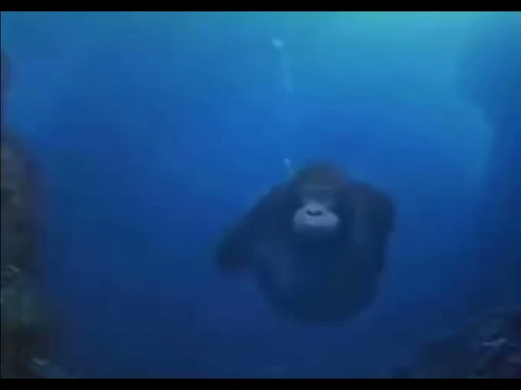 this update in a nutshell | Fandom