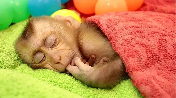 goodnight 👍👍 | Fandom