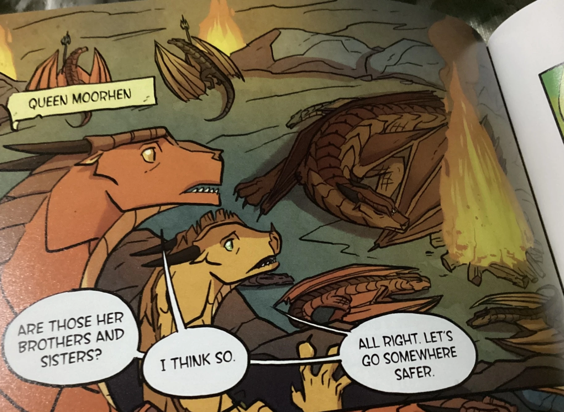 Woah Moorhen Be Thick And Chonky Fandom