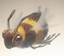 Bumble | Disney Fairies Wiki | Fandom