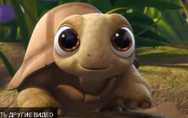 Turtle | Disney Fairies Wiki | Fandom
