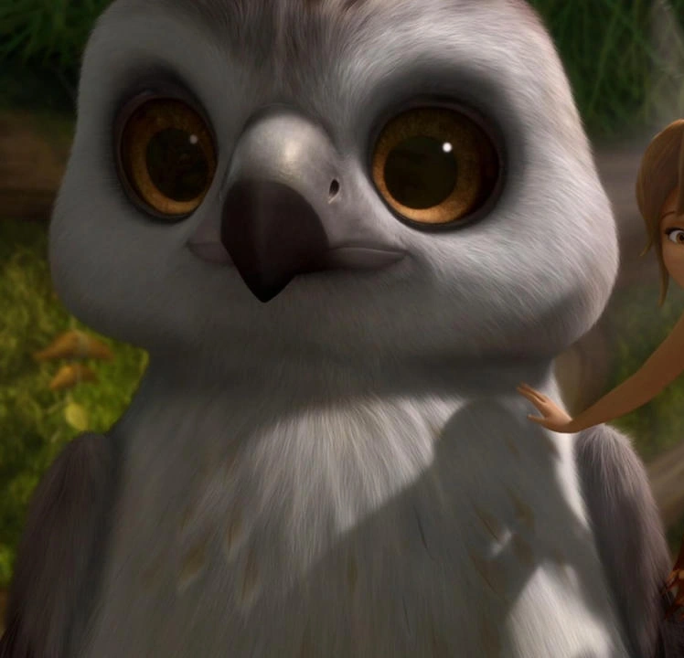 Hawk | Disney Fairies Wiki | Fandom