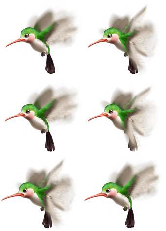 Hummingbird | Disney Fairies Wiki | Fandom