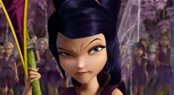 Disney Feen Vidia Buch