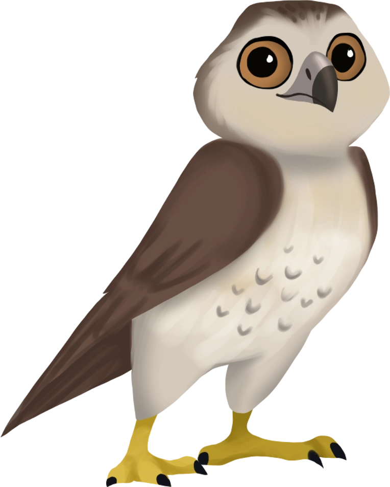 Hawk | Disney Fairies Wiki | Fandom