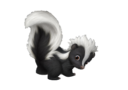 Skunk | Disney Fairies Wiki | Fandom