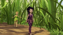 Tinkerbell Vidia Wings