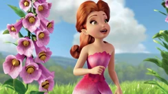 Rosetta | Disney Fairies Wiki | Fandom