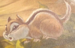 Nan | Disney Fairies Wiki | Fandom