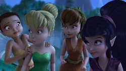 Disney Feen Vidia Buch