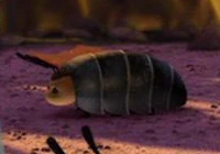 Pill Bug | Disney Fairies Wiki | Fandom