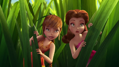Rosetta | Disney Fairies Wiki | Fandom