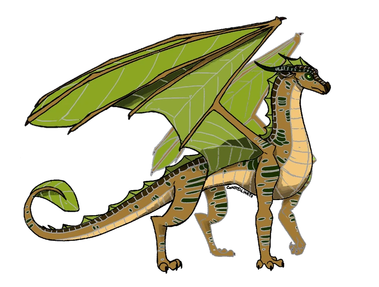 Graphic Novel LeafWing Adopts! | Fandom