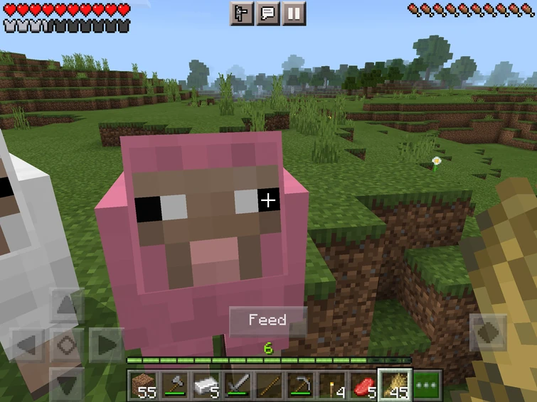 Discuss Everything About Minecraft Wiki | Fandom