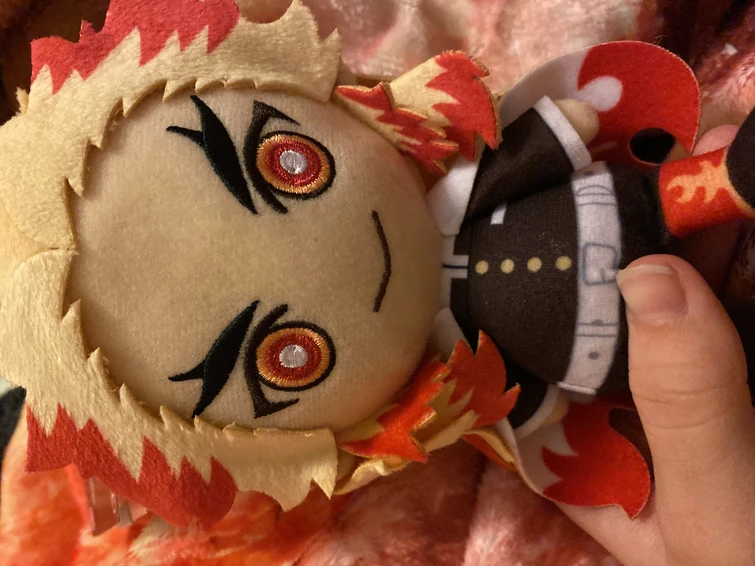 heh figured I’d show my kny merch | Fandom