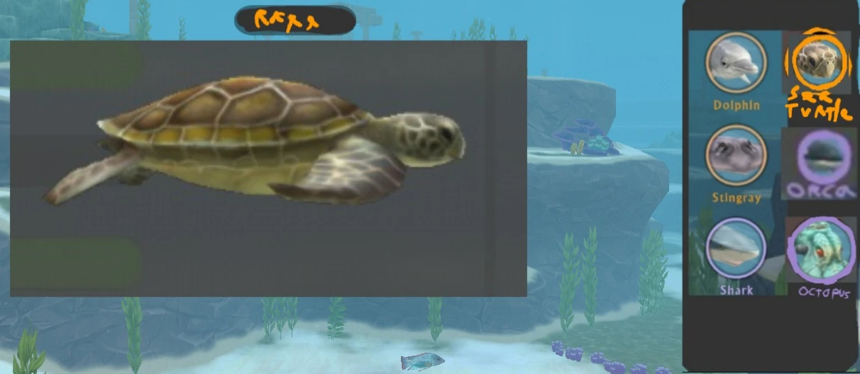 Playable sea turtle concept | Fandom