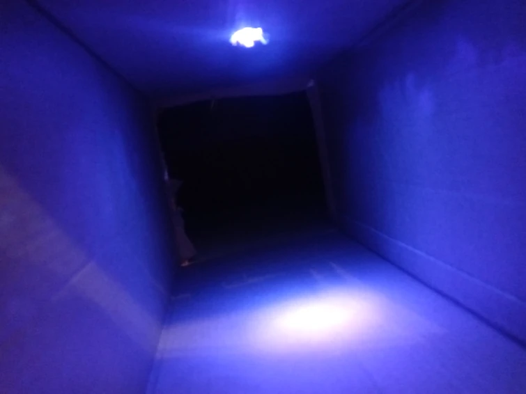 Discuss Everything About Backrooms Legacy Wiki | Fandom