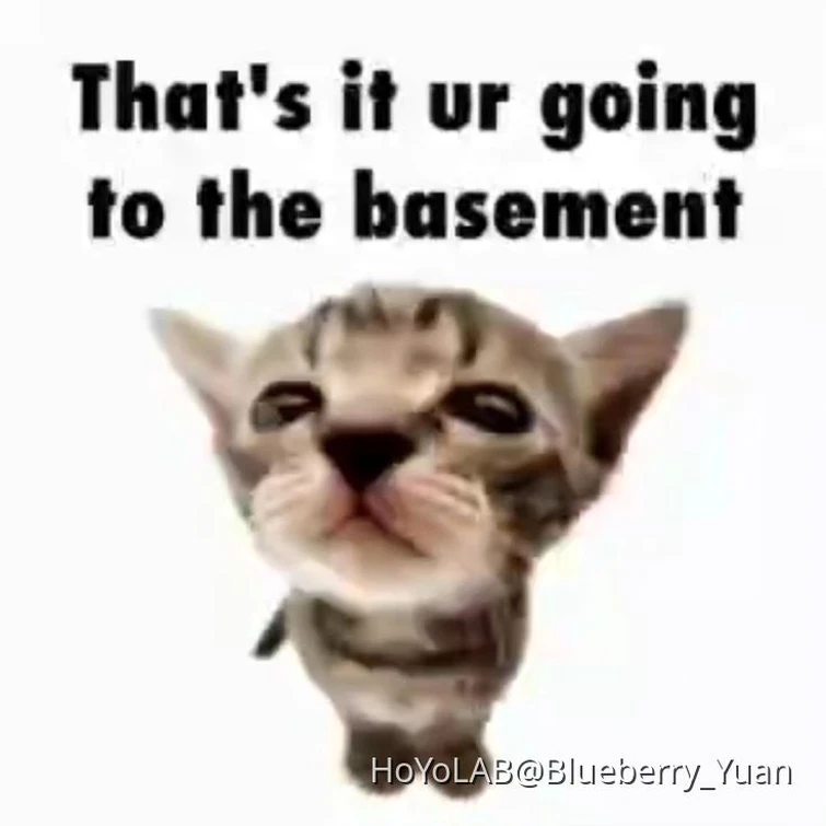 By gyatt! I must rizz to this | Fandom