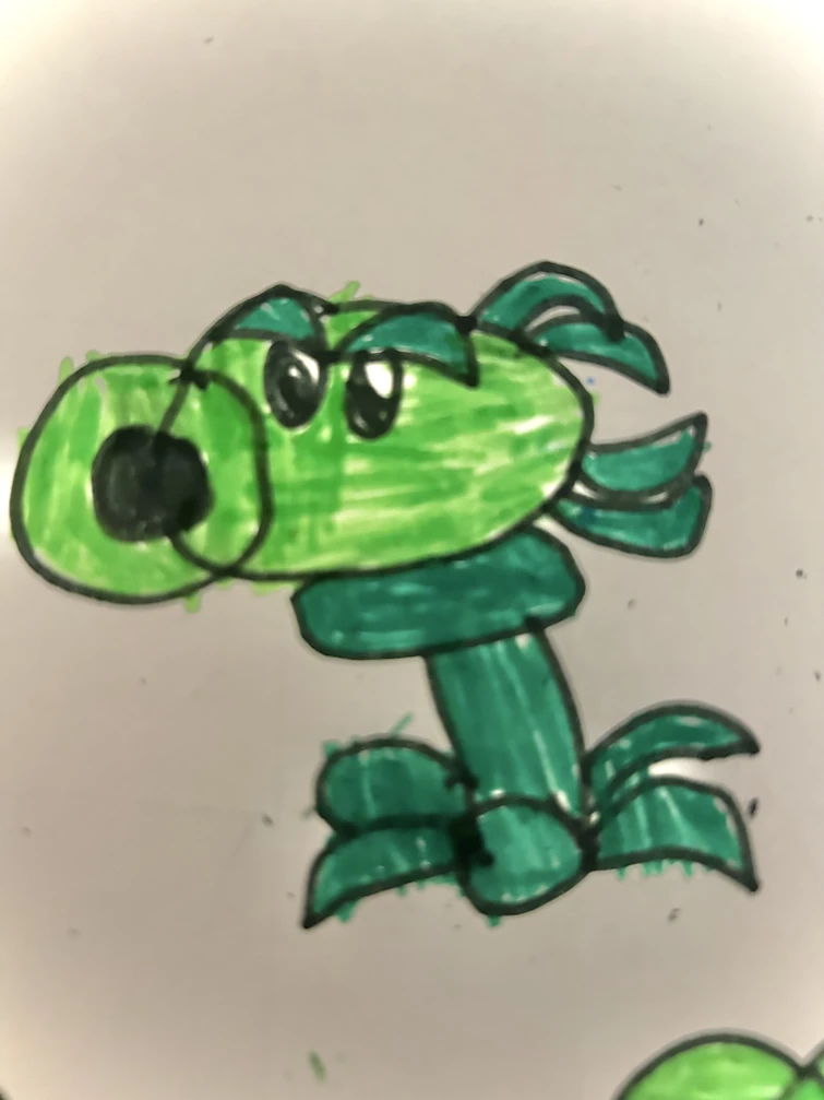 Drawing Peashooters Day 1: Peashooter and Repeater | Fandom