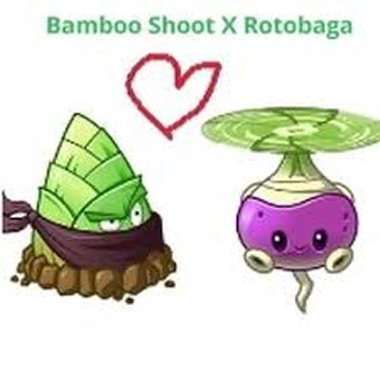 Ho do you ship Rotobaga with ? | Fandom