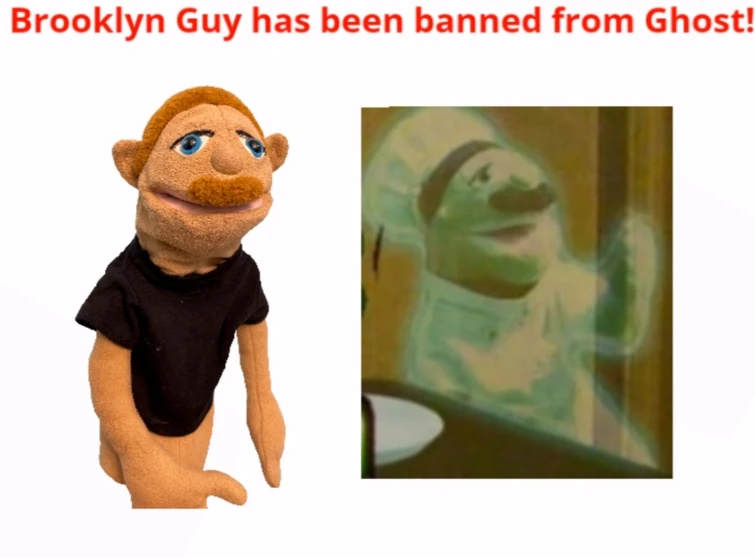 Brooklyn Guy Has Been Banned Memes Made By Floppaaaaa | Fandom