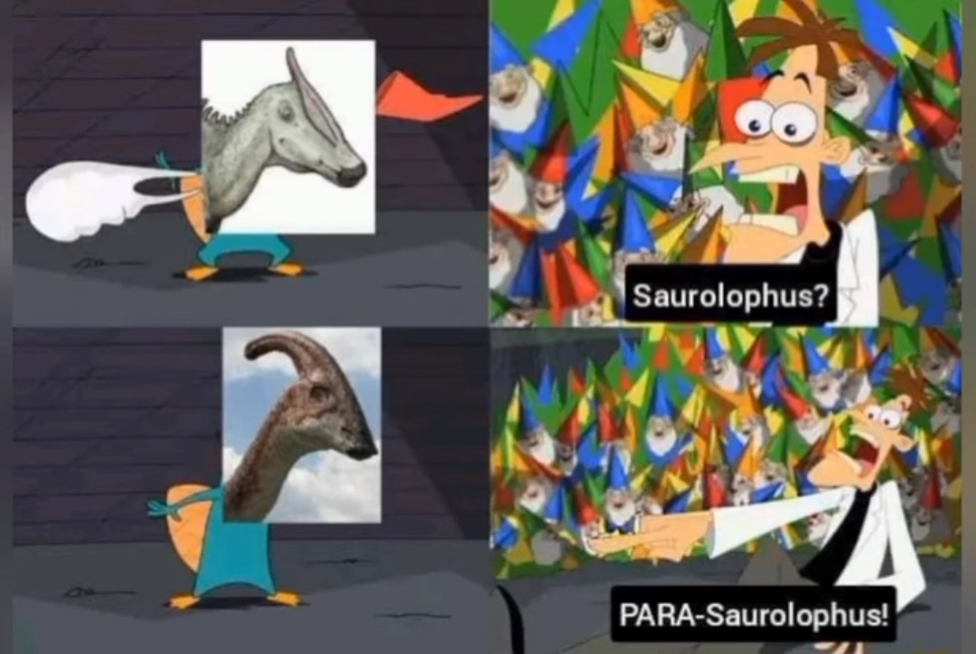 MEME AGAIN AGAIN | Fandom