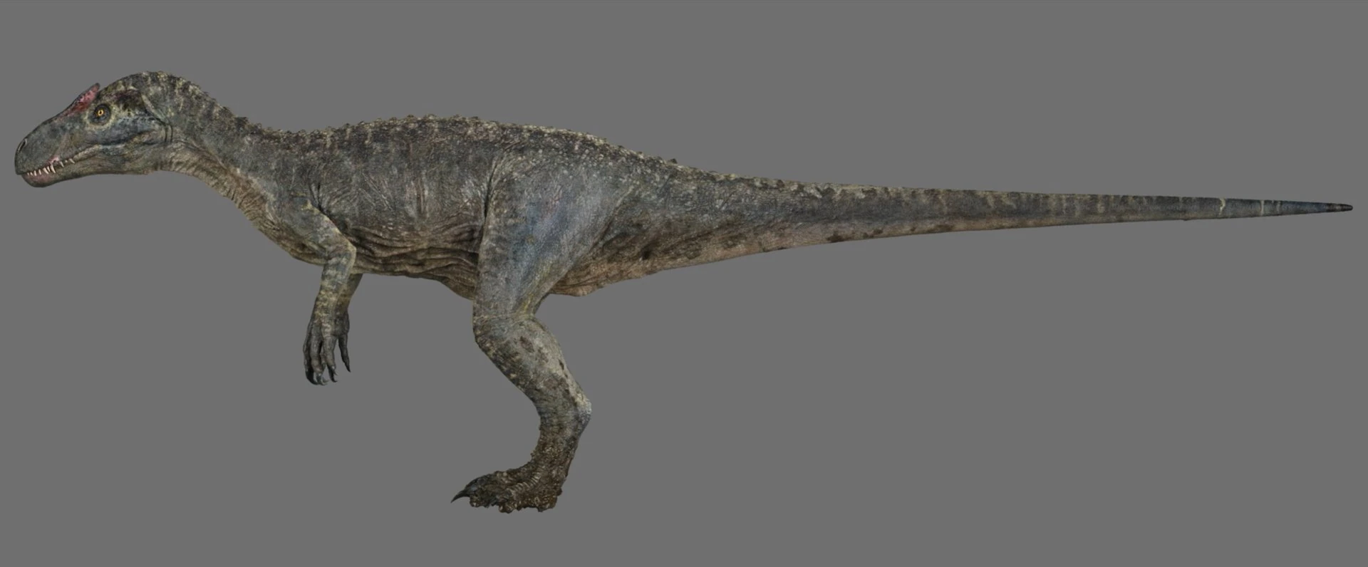 FK, BABR Allosaurus (JW Anky G.M. post coming soon) | Fandom